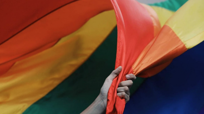 Virtual LGBTQ Recovery Support Group | Made of Millions Foundation